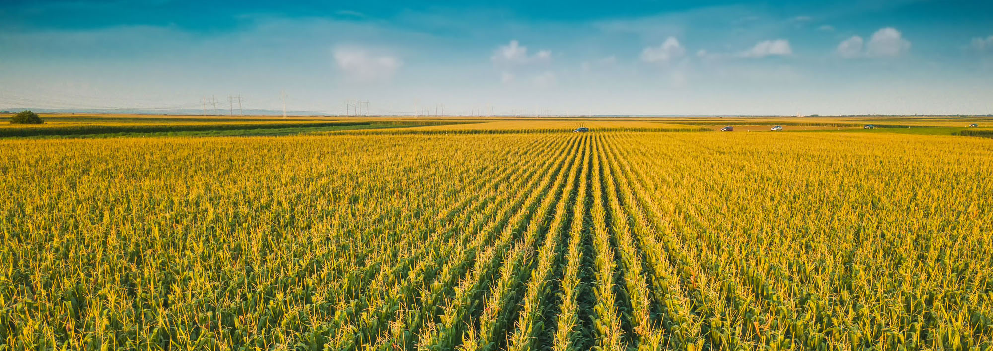 GenHack : Un hackathon autour des modèles génératifs - École polytechnique, école d'ingénieur